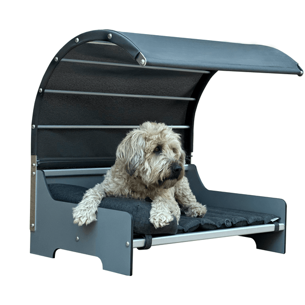 dog canopy bed