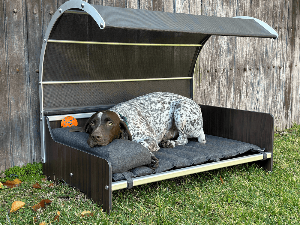 FOREMAN® Pet Bed with Canopy, Mat & Pillow